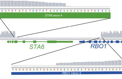 Figure 6 From Systems Level Analysis Of Nitrogen StarvationInduced