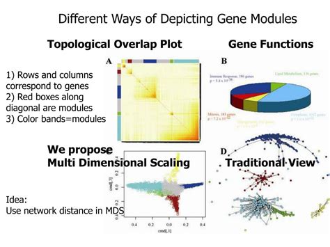 Ppt Generalizations Of The Topological Overlap Matrix For Module