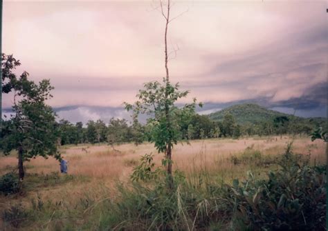 Terrain At Lz Xray Ia Drang Campaign