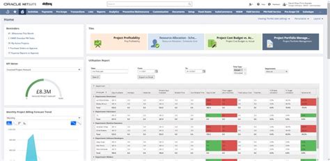 Proscope For Netsuite On Linkedin Projectrisks Visibility