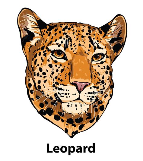 Leopard Faces 3418045 Leopard Faces 3418045