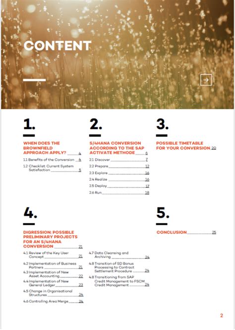 Sap S Hana Conversion Guide Pikon Sap Consulting International