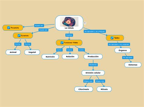 La Célula Mind Map La Célula Mind Map