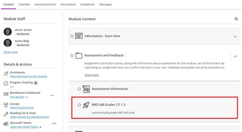 Getting Started With Matlab Grader How To Access Your Assessmentquiz