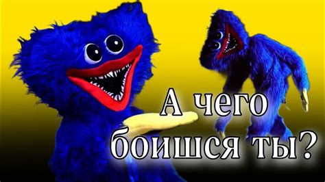 Квест «ХАГИ ВАГИ фото видео съемка 🎬 запечатляю лучшие моменты 🤩