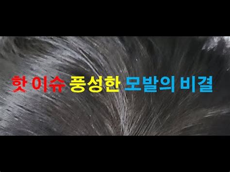 핫 이슈 풍성한 머리의 비결 YouTube