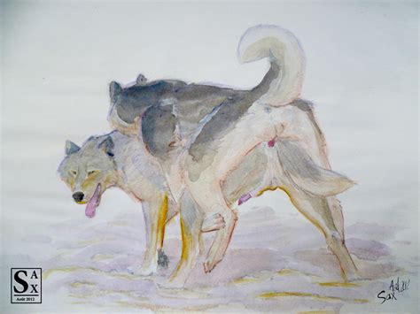 Rule 34 Anal Anal Sex Canine Couple Feral Furry Furry Only Gay Male