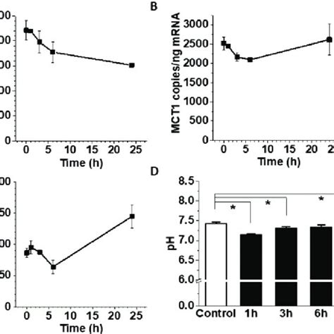 Gene Expression In Huvec Co Culture With Muscle Cells Confluent Huvec Download Scientific