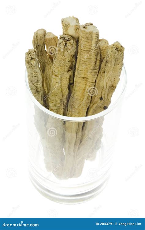 Traditional Chinese Medicine Dangshen Radix Codonopsitis Pilosulae