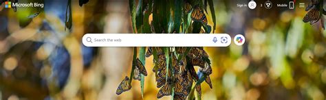 Google Vs Bing Comparison Of Two Big Search Engines Seomator