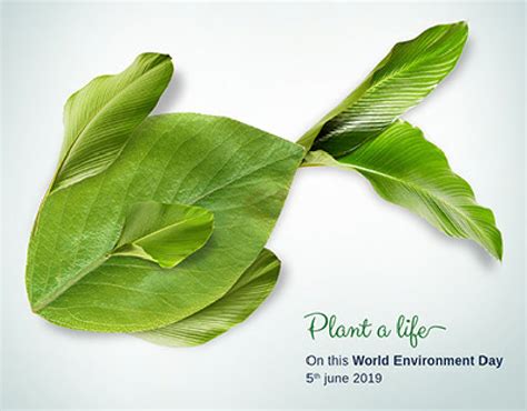 World Environment Day Tree Plantation Artofit