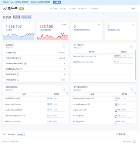 Update With Wrong Version Issue AdguardTeam AdGuardHome GitHub