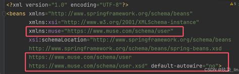 spring框架3 自定义标签解析 csdn博客