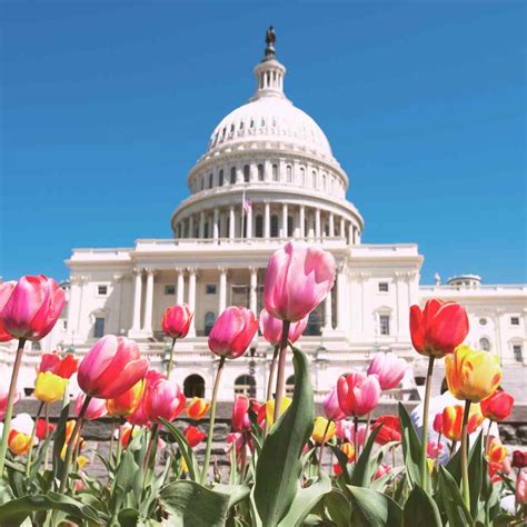 Best Clubs In Washington Dc Nightlife Scene 2024 Wanderdc