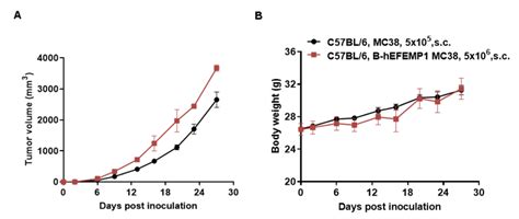 Human Efemp1 Mc38 Cell Lines Biocytogen