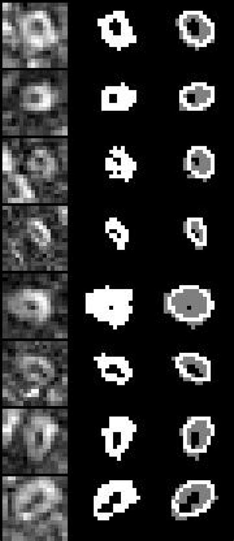 Examples Of Donuts U H Velocity Modulus Left Segmented Middle