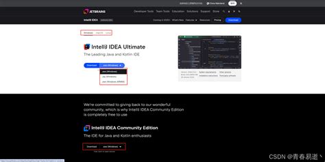 intellij idea idea自动生成序列serializable csdn博客