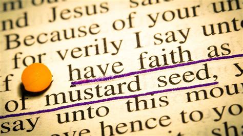 What Is The Meaning Of The Parable Of The Mustard Seed