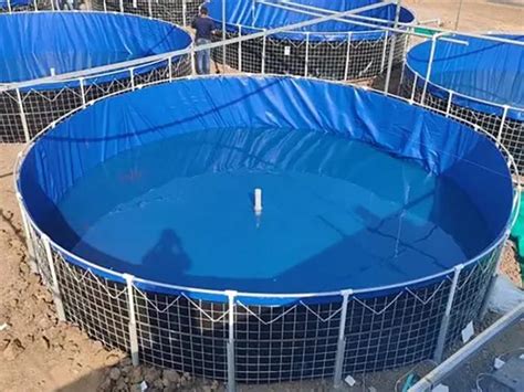 Water Quality And Success Of Biofloc Culture System Seafood Network Bd