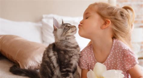 Esto Es Todo Lo Que Debes Considerar Antes De Regalarles Una Mascota A Tus Hijos Todo Para Ellas