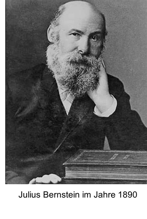 Prof Dr Med Julius Bernstein 1839 1919 Historisches Archiv