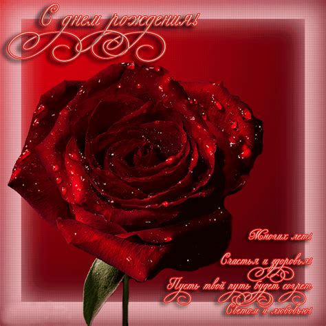 Открытка на день рождения с красной розой · бесплатная открытка от Viola