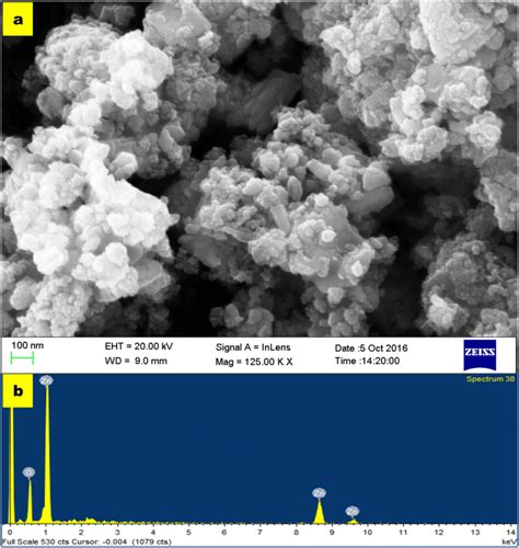 A Fe Sem Micrograph B Eds Of Biogenic Zno Nanoparticles Download