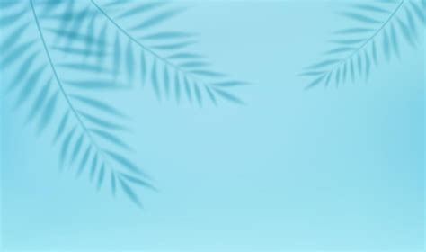 팜 리프와 그림자 벽에 빈 방 배경 3d 렌더링 프리미엄 사진