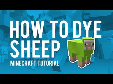 How To Dye A Sheep In Minecraft