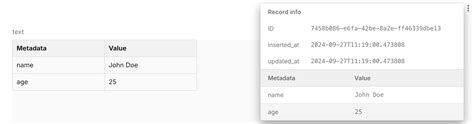 custom fields with layout templates argilla docs