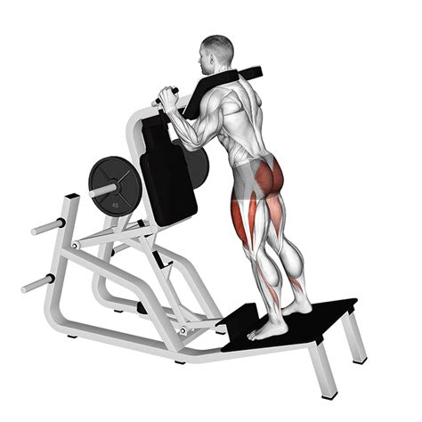 Hack Squat Machine Muscles Worked