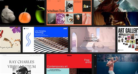 what is wordpress envato tuts digital marketing in las vegas