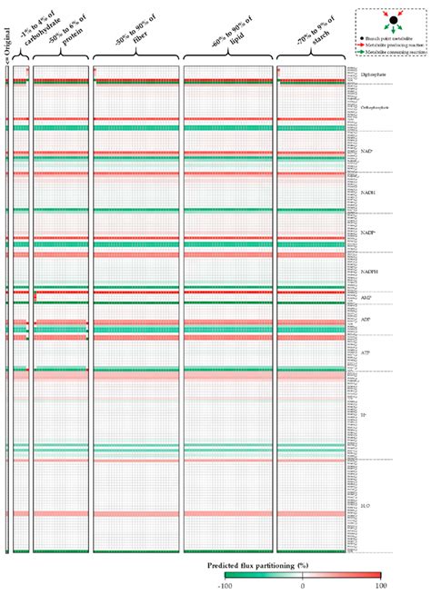 Figure A15 The Sensitivity Of Plastidial Reaction Flux Partitioning To Download Scientific
