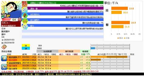 足球小将翼 梦幻队伍队长小翼中西足球小将翼 梦幻队伍队长小翼wikigamekee