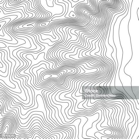 복사할 공간이 있는 지형 맵 배경입니다 선 지형 지도 윤곽 배경 지리적 격자 추상적인 벡터 일러스트입니다 추상적인 기하학적