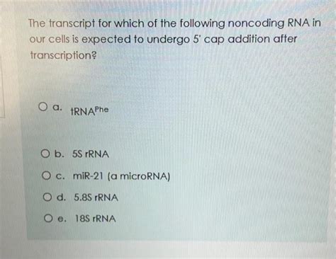 Solved The Transcript For Which Of The Following Noncoding Chegg