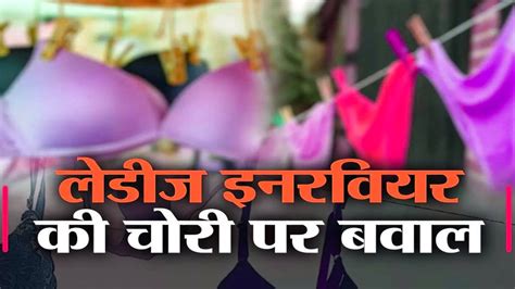 अजीब चोर है 8 महीने से अंडरगारमेंट्स चोरी चोर को पकड़ने महिला ने