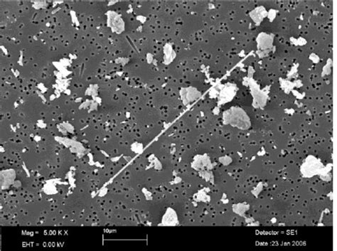 Sem Image Of A Glass Fiber Collected On A Polycarbonate Filter Download Scientific Diagram