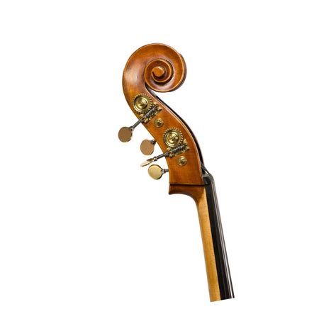 Westbury 34 Double Bass Gamba Pattern Instrument Only At Gear4music