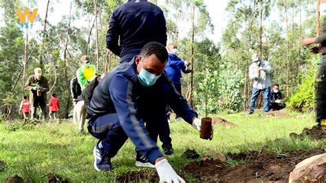 የኢትዮጵያ የፖለቲካ ፓርቲዎች የጋራ ምክር ቤት አባላት ችግኝ ተከላ Youtube
