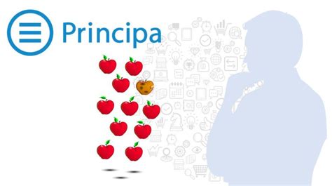 Principa On Linkedin Predictiveanalytics Creditanalytics