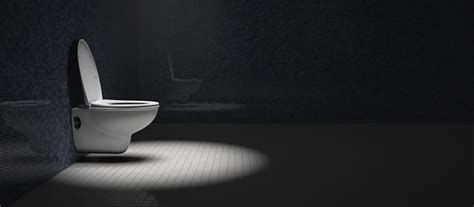 희미하게 불이 켜진 방에있는 세라믹 변기 삶의 조건과 편안함 0명에 대한 스톡 사진 및 기타 이미지 0명 가정 생활