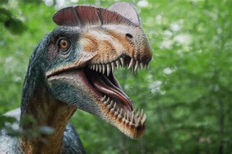 I Like To Think That Female Dilophosaurus Had Less Developed Crests
