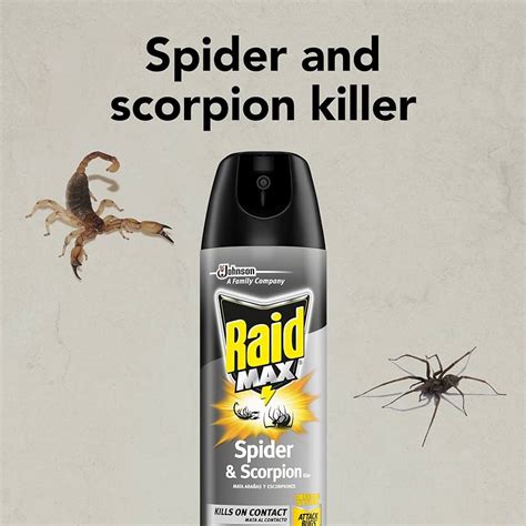 Raid Max Spider Scorpion Killer