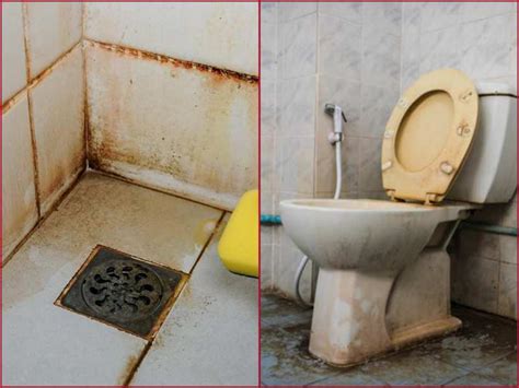 Vastu Tips बाथरूम में कभी भी न करें ये काम घर से विदा हो जाएगी लक्ष्मी