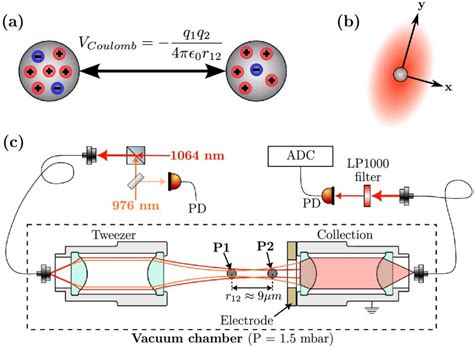 exploring the boundary between classical and quantum worlds the