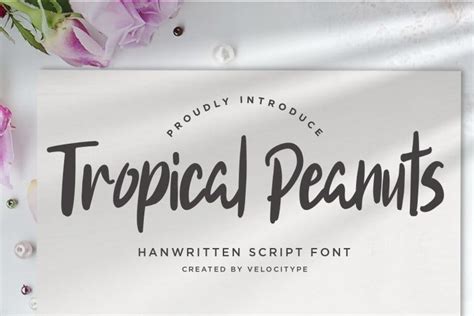 Tropical Peanuts Font Free Download By Audrey97 May 2024 Medium