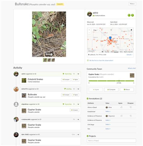 Observations Not Becoming Research Grade Properly Issue With