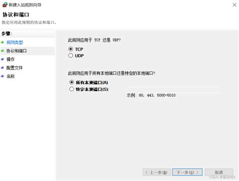 解决iis发布程序只有80端口可以被访问，其他端口访问不了的问题扫描端口只发现了80 Csdn博客