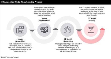 3d Printed Anatomical Models Life Sciences